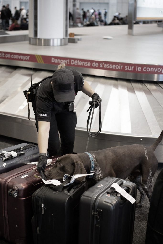 Aviation - ASP Security Services