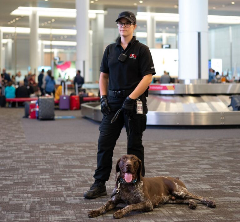 Canine Security Explosive Dog Detection - ASP Security Services